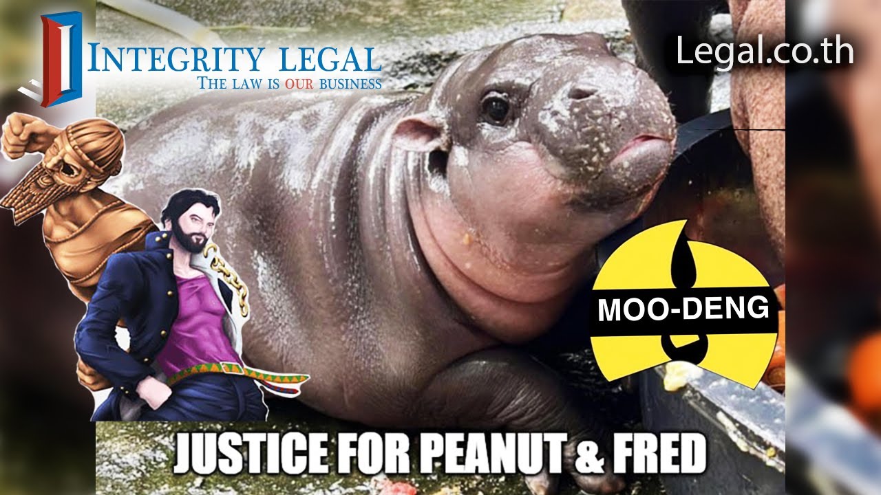 Carl Benjamin, Welcome to Moo Deng Clan! - YouTube