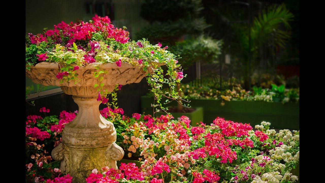 Come Primavera - Il Divo (letra en español) - YouTube