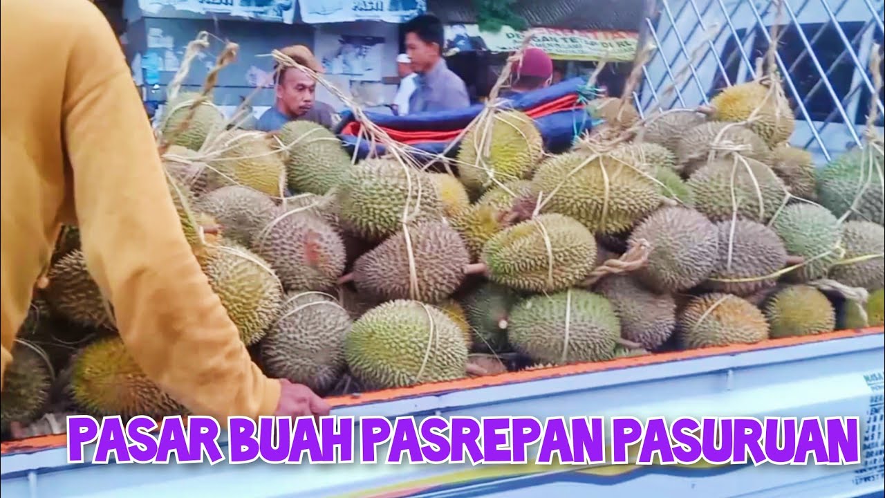LIHAT SISTEM PARA PEDAGANG BESAR BORONG DURIAN DI PASAR BUAH PASREPAN ...