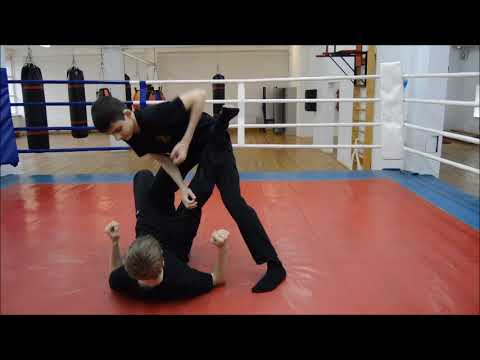Wing Chun Kuen Phai 3