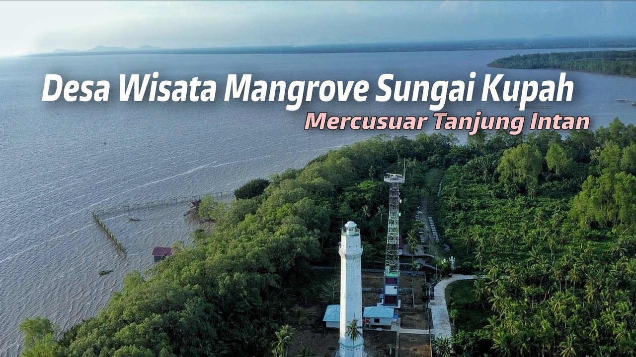 Ekowisata Mangrove Sungai Kupah - Jeruju Besar | Wisata Telok Berdiri ...