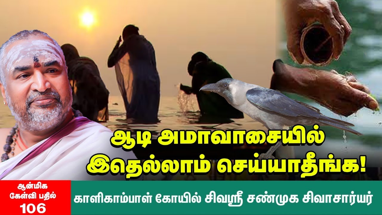 Aadi Amavasai 2025 | மாமனார் மாமியாருக்கு தர்ப்பணம் கொடுக்கலாமா? | சண்முக சிவாசார்யர் | ஆடி ...