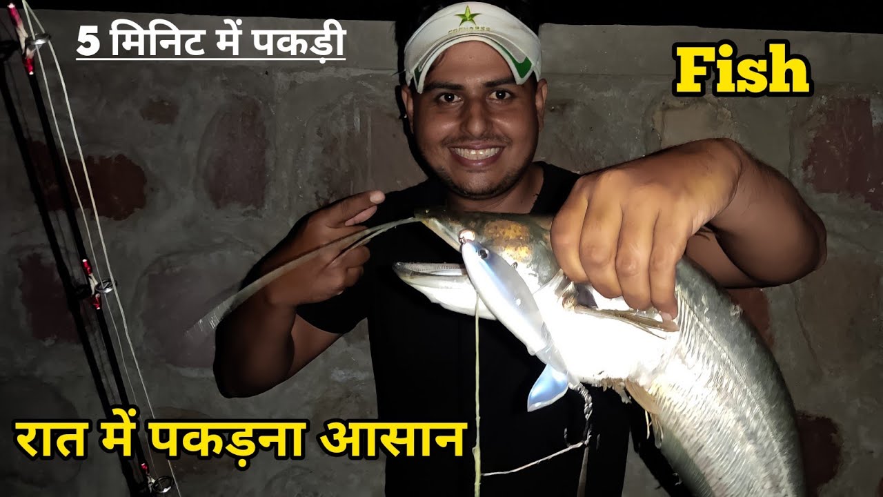 ऐसे लूर से पकड़े रात में मछली । एंगलर आज़म | Best Lures for Fishing at ...