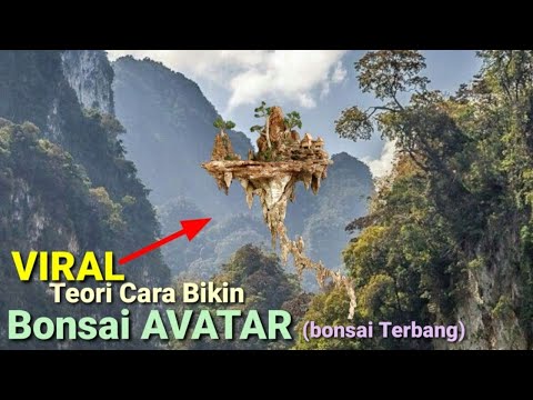 Teori Cara Bikin Bonsai Avatar (bonsai terbang) - YouTube