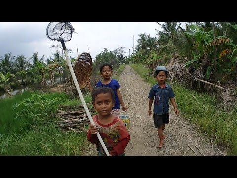 Nyeser Cupang Balong || Adit Bocil Bocah Ngapak Gokil