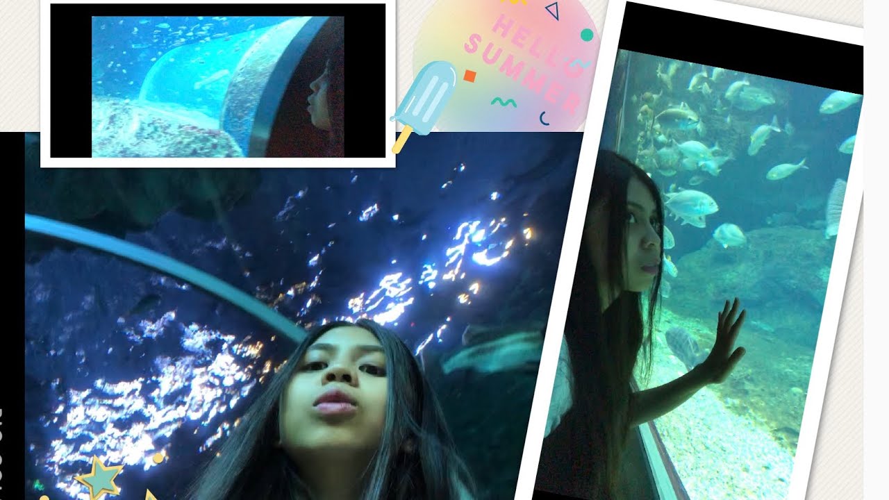 summer~tingin tayo ng isda - YouTube