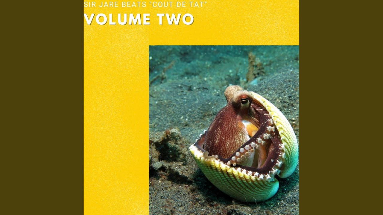 Octopus Driving a Car - YouTube