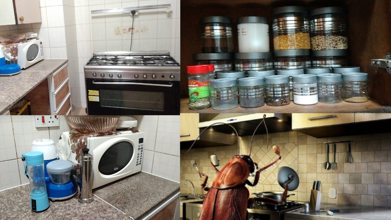 28 Habits Keep Our Kitchen Clean And Insects Away | 28 kitchen Tips# ...