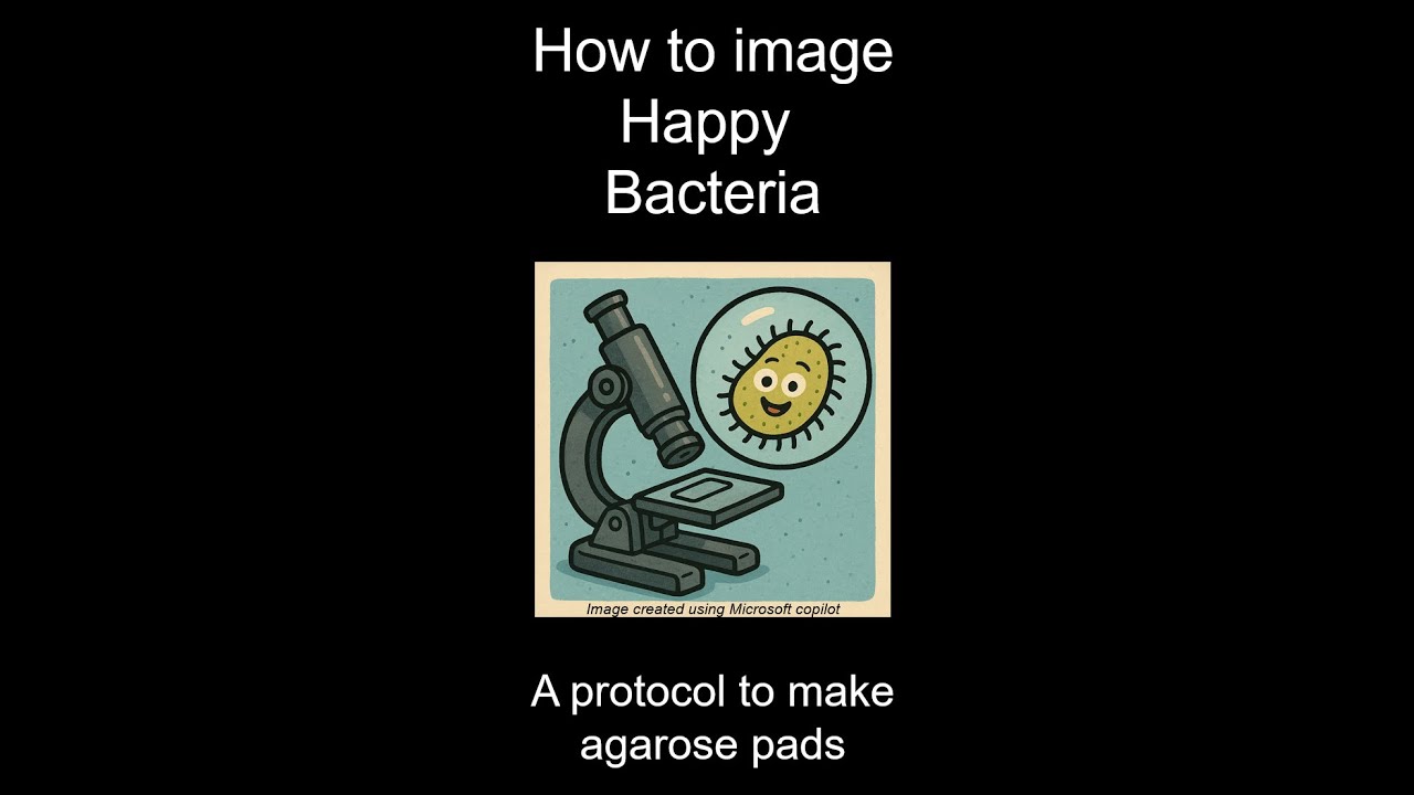 Agarose pads in cavity slides | A protocol to prepare healthy bacterial ...