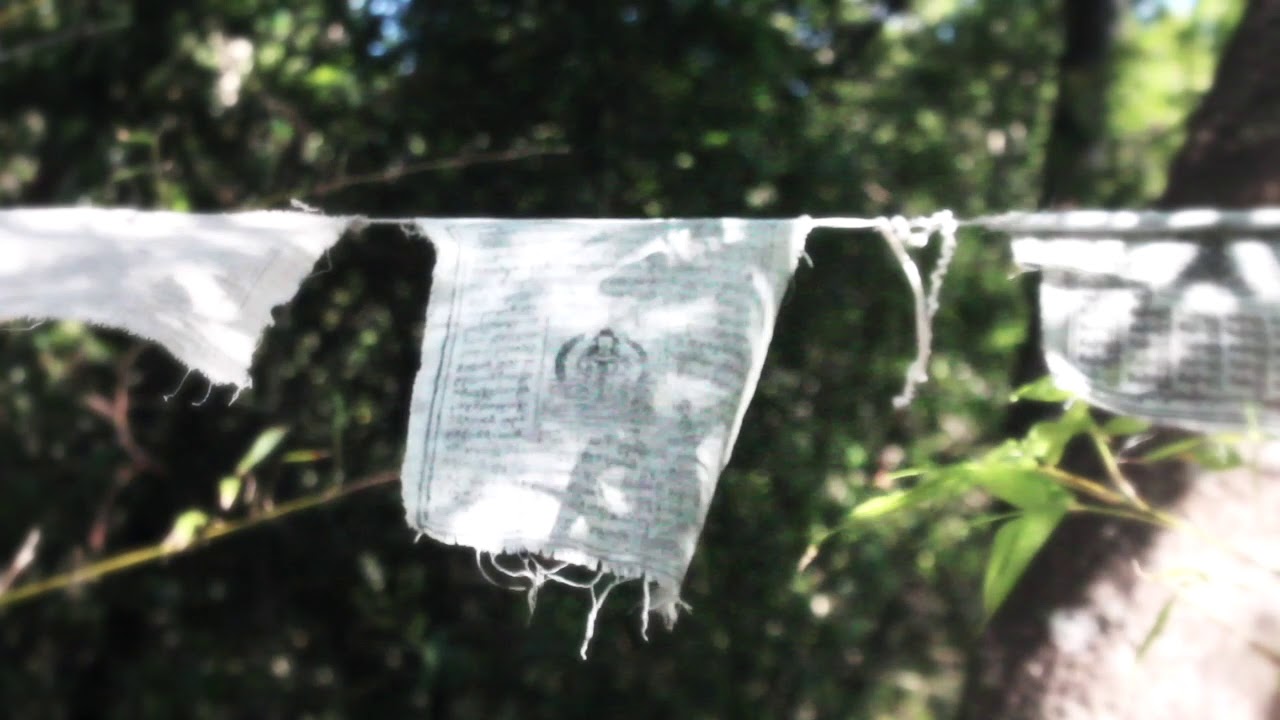 TrooperSuuper by Jarrett Csupo music video - YouTube