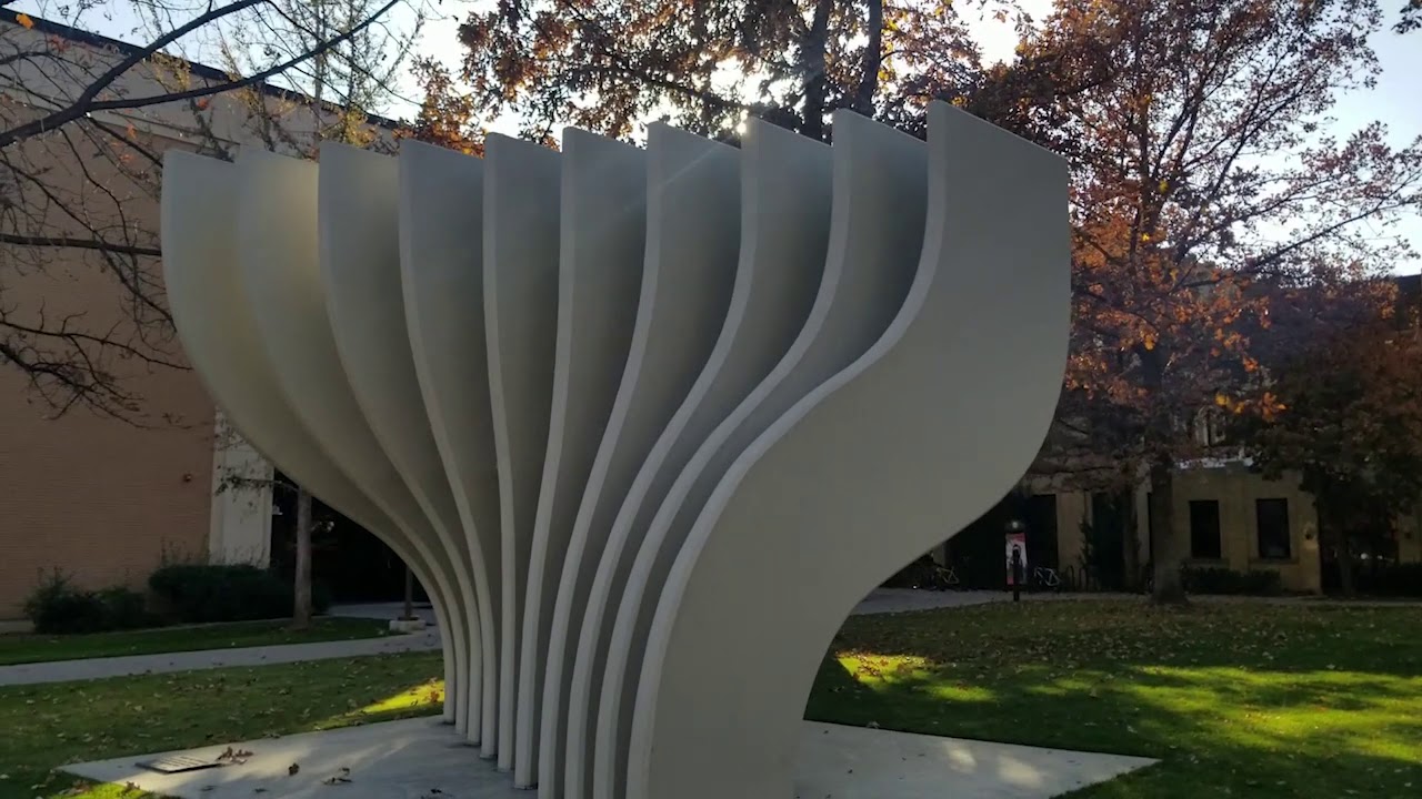 BYU Tree of Wisdom - YouTube