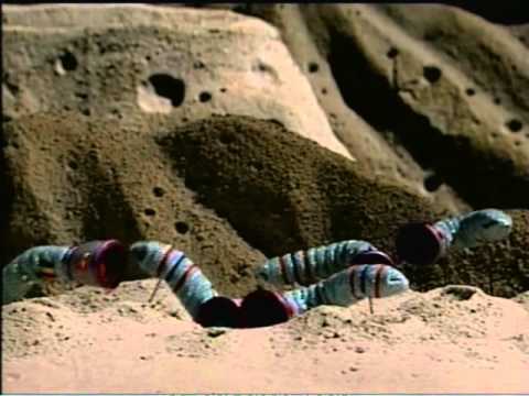 Sesame Street - Slimey to the Moon (HQ) - YouTube