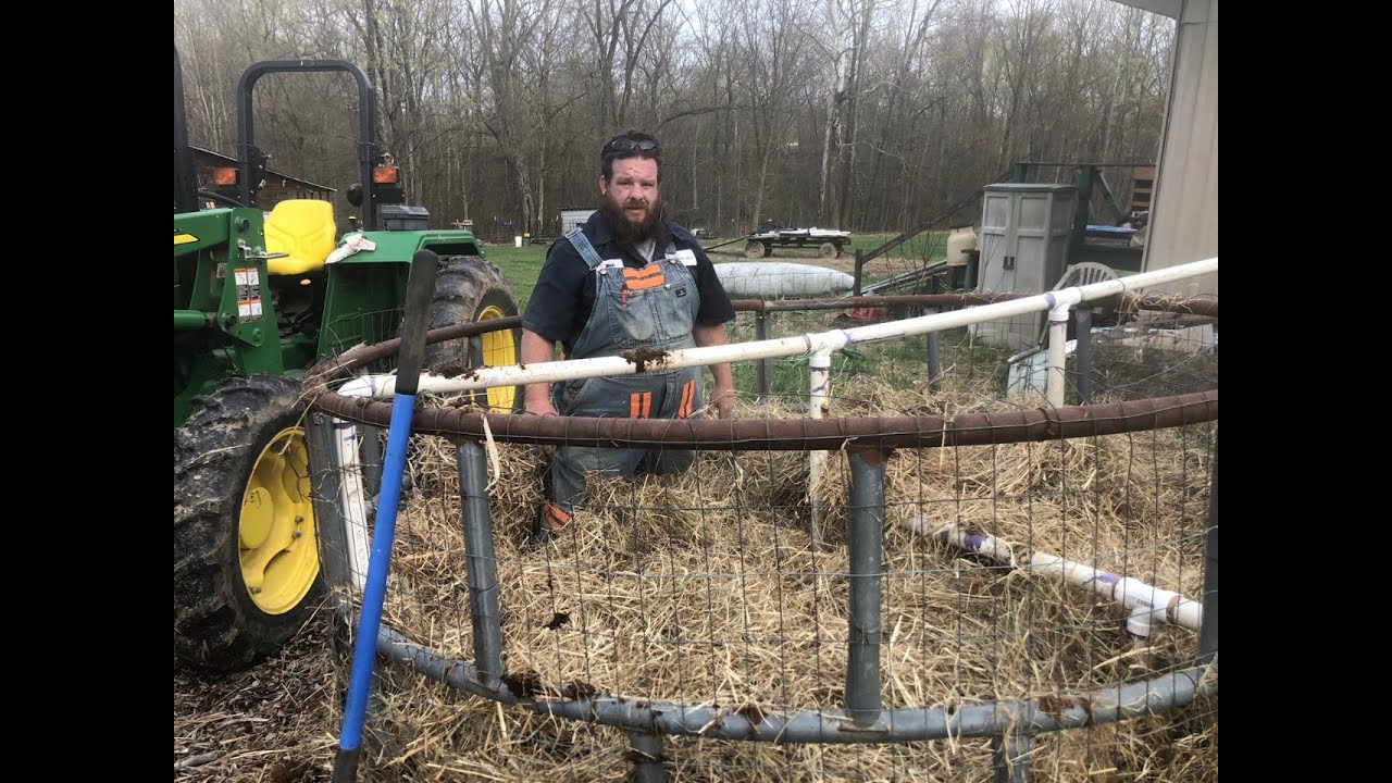 Planting our Good Friday potatoes in the new potato ring - YouTube