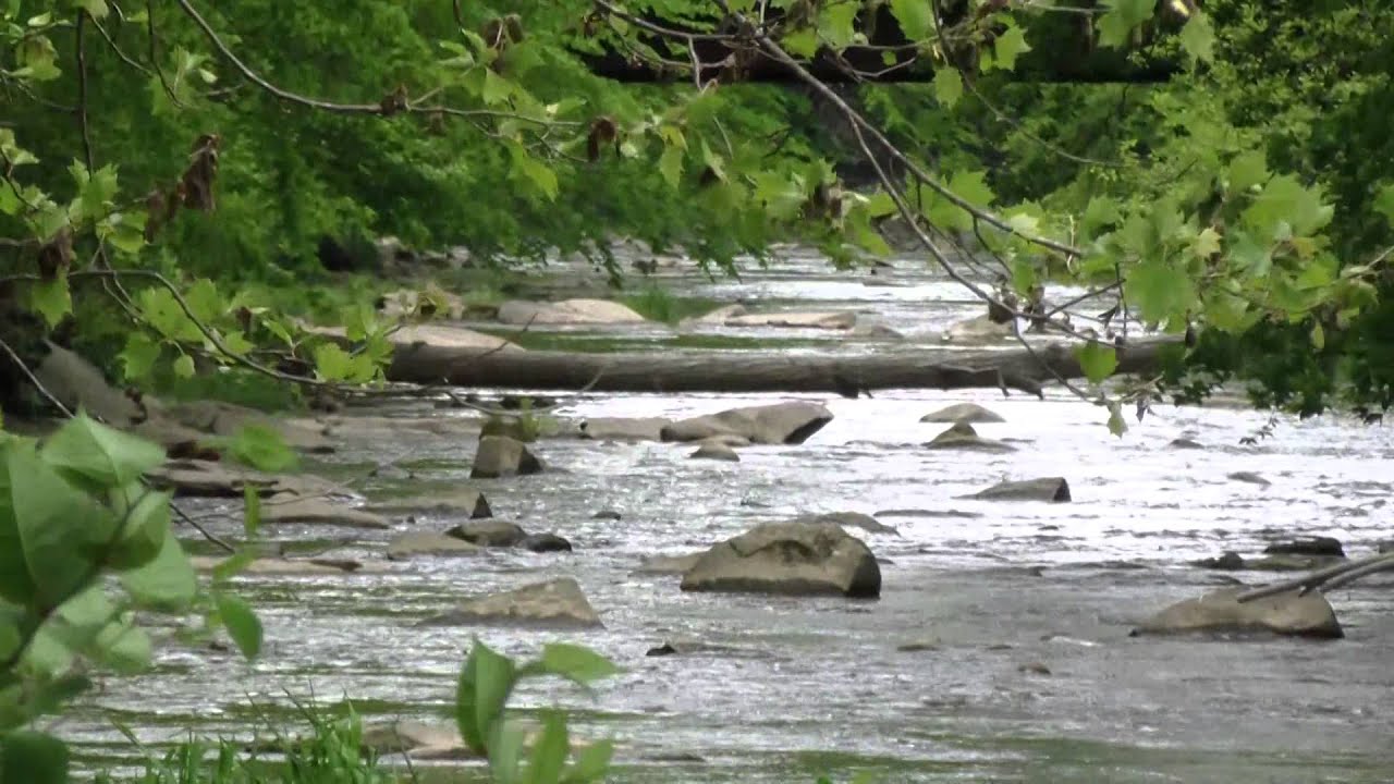 Atkisson Dam, MD (Part 1) - YouTube