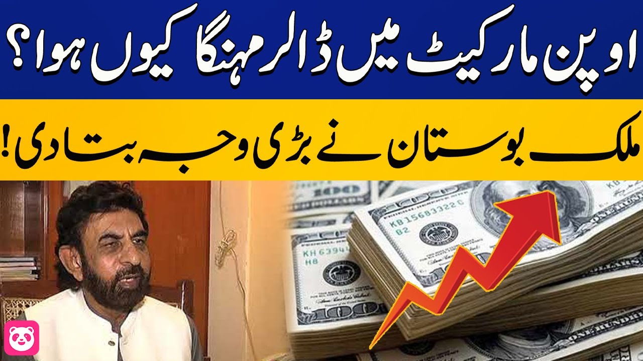 Malik Bostan made a huge revelation about why dollar is expensive in open market? - YouTube