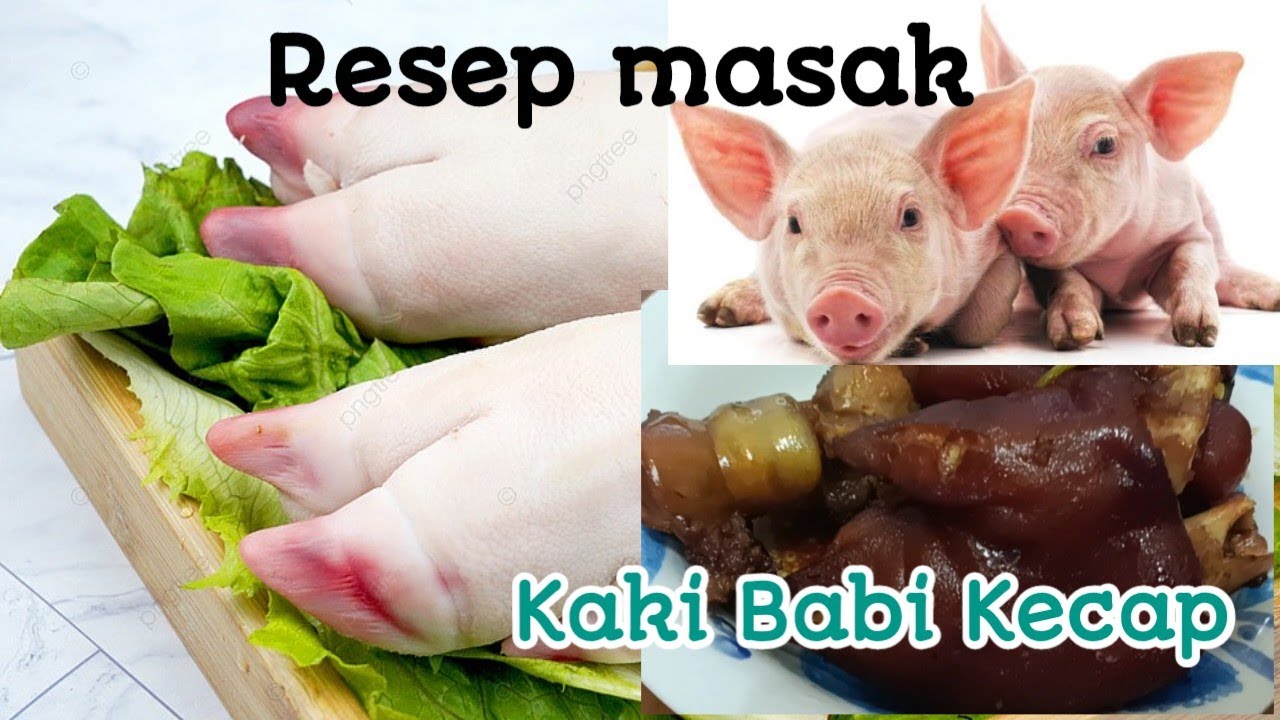 RESEP DAN CARA MASAK KAKI BABI KECAP ALA CHINESE RESTORAN||RESEP TURUN ...