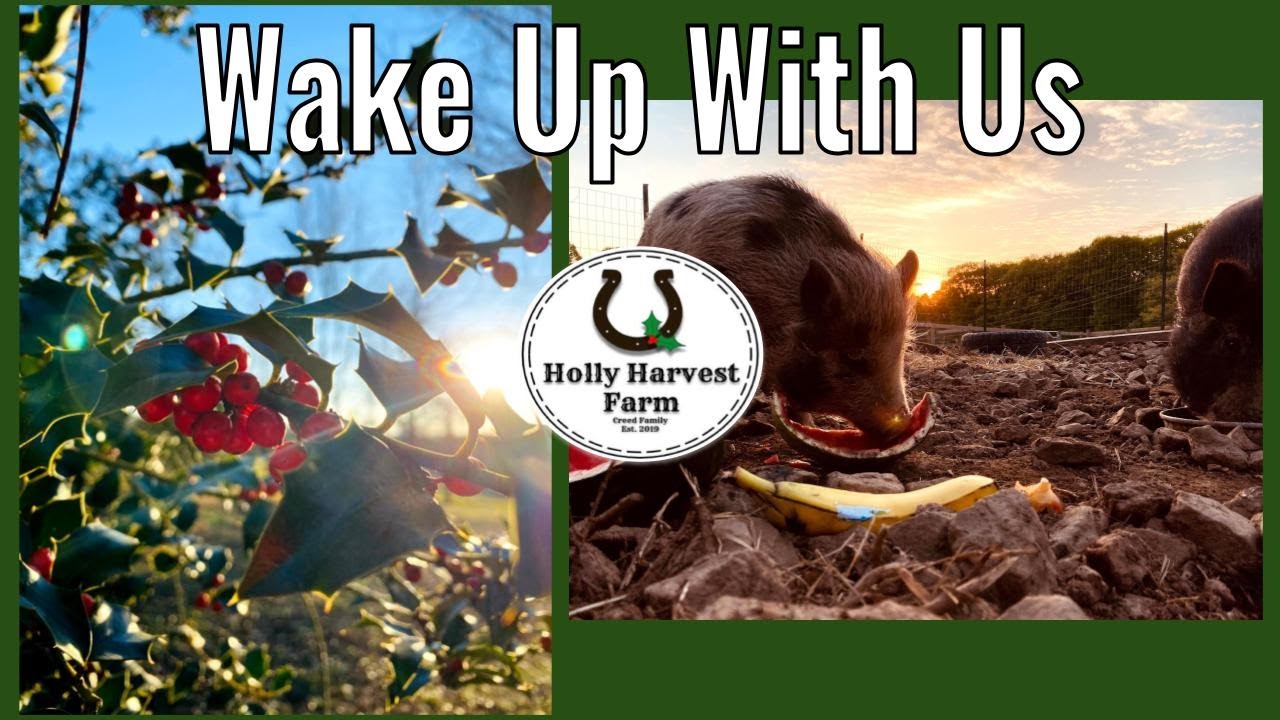 Peek Into the Morning Routine - YouTube