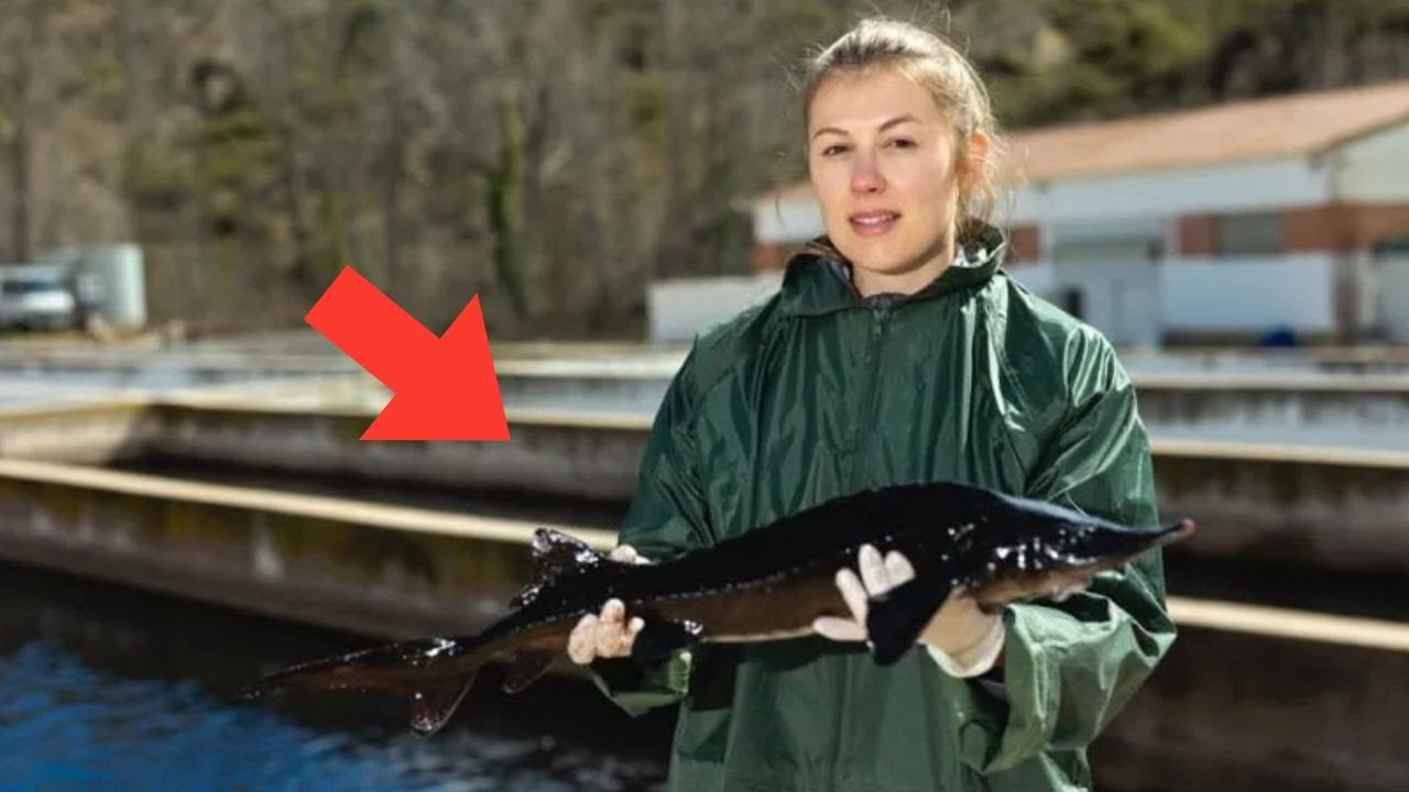 Woman Cleans Out Strange Fish - Starts Screaming When Realising Whats ...