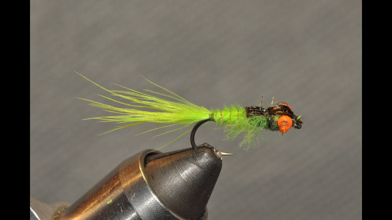 Damsel Fly Nymph - YouTube