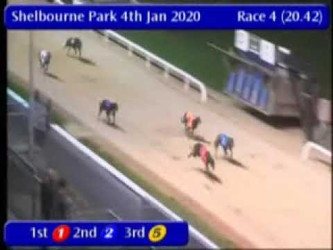 IGB - The Bet on the Tote A2 04/01/2020 Race 4 - Shelbourne Park - YouTube