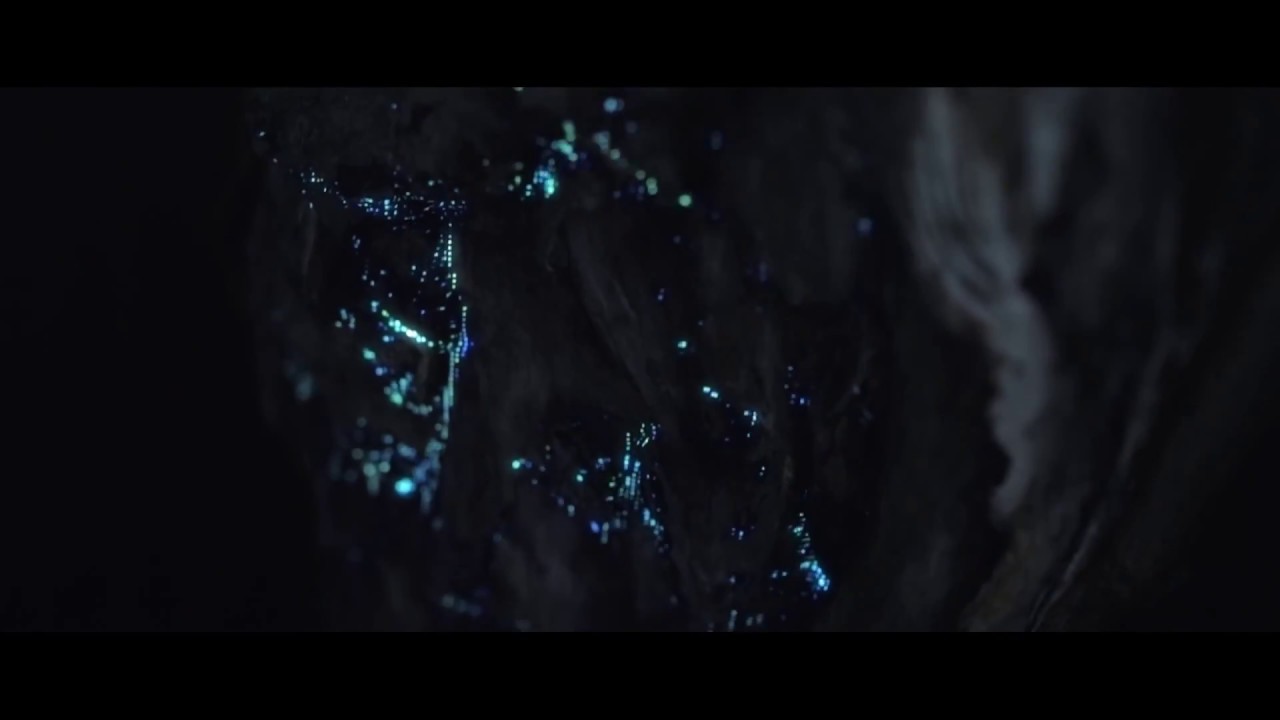 Projections in the Forest - bioluminescent forest - projection mapping ...
