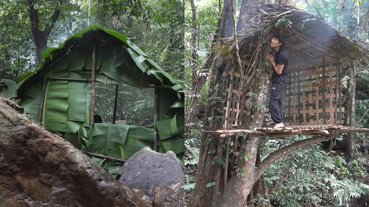 Build a hut in the tree - 2 years of survival in the rainforest ...