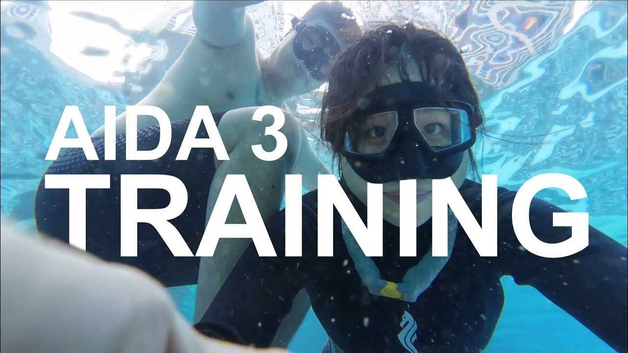 AIDA 3 Training - YouTube