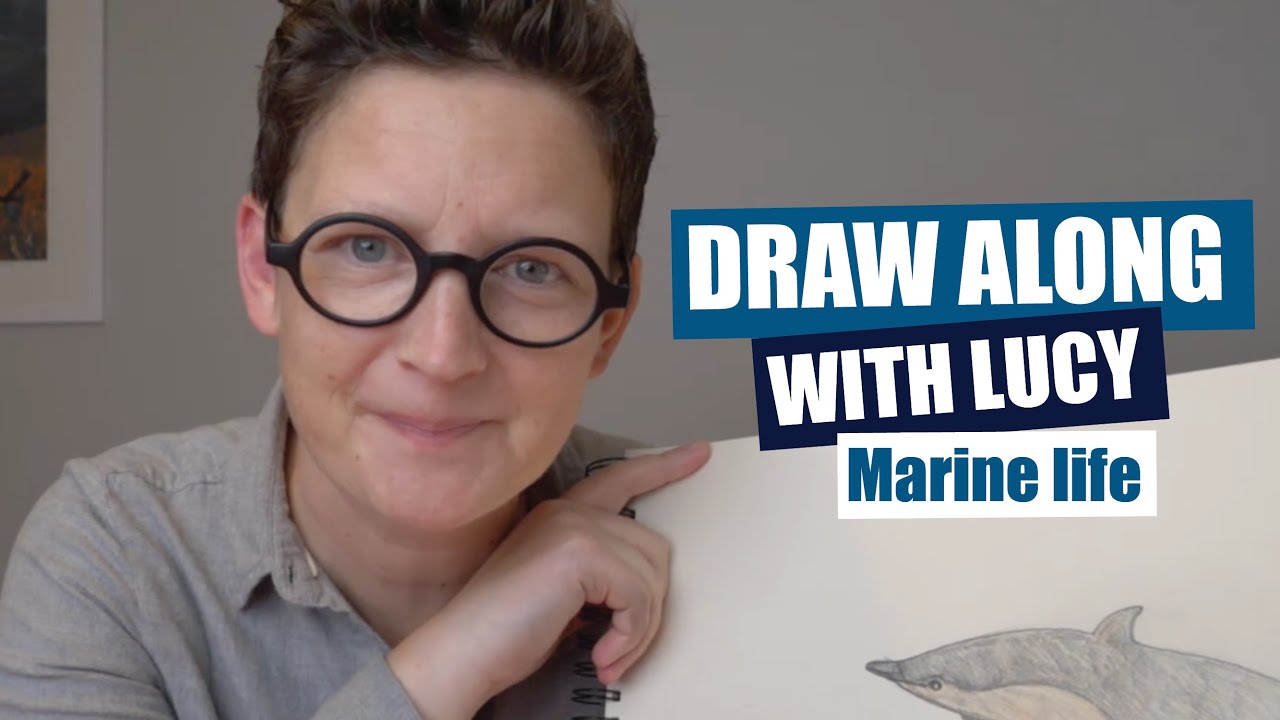 Draw along with Lucy - Common dolphin - YouTube