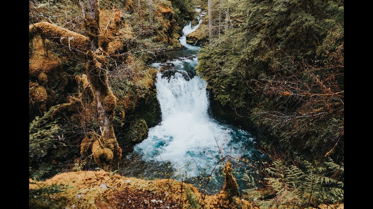 Jefferson Lake, WA: Hiking and Vlogging with the A7iii - YouTube