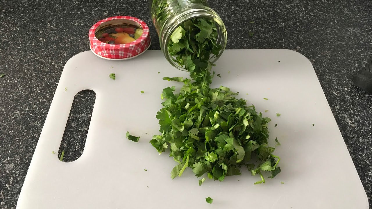 How to Store Chopped Cilantro/Coriander/Dhania Leaves/Kothmiri for ...