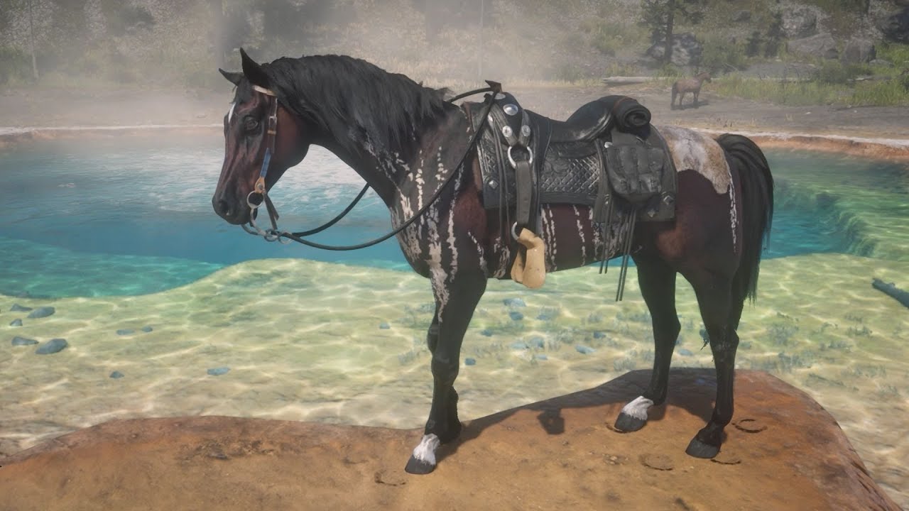 Red Dead Redemption 2 - Warped Brindle Arabian Horse - YouTube