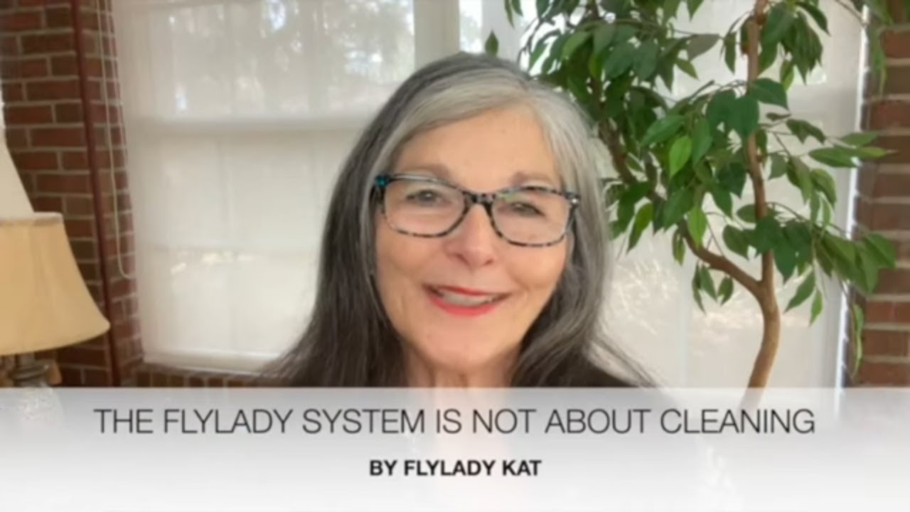 THE FLYLADY SYSTEM IS NOT ABOUT CLEANING - A Free Sample Patreon Video ...