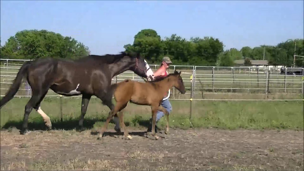 Chip Neely - YouTube