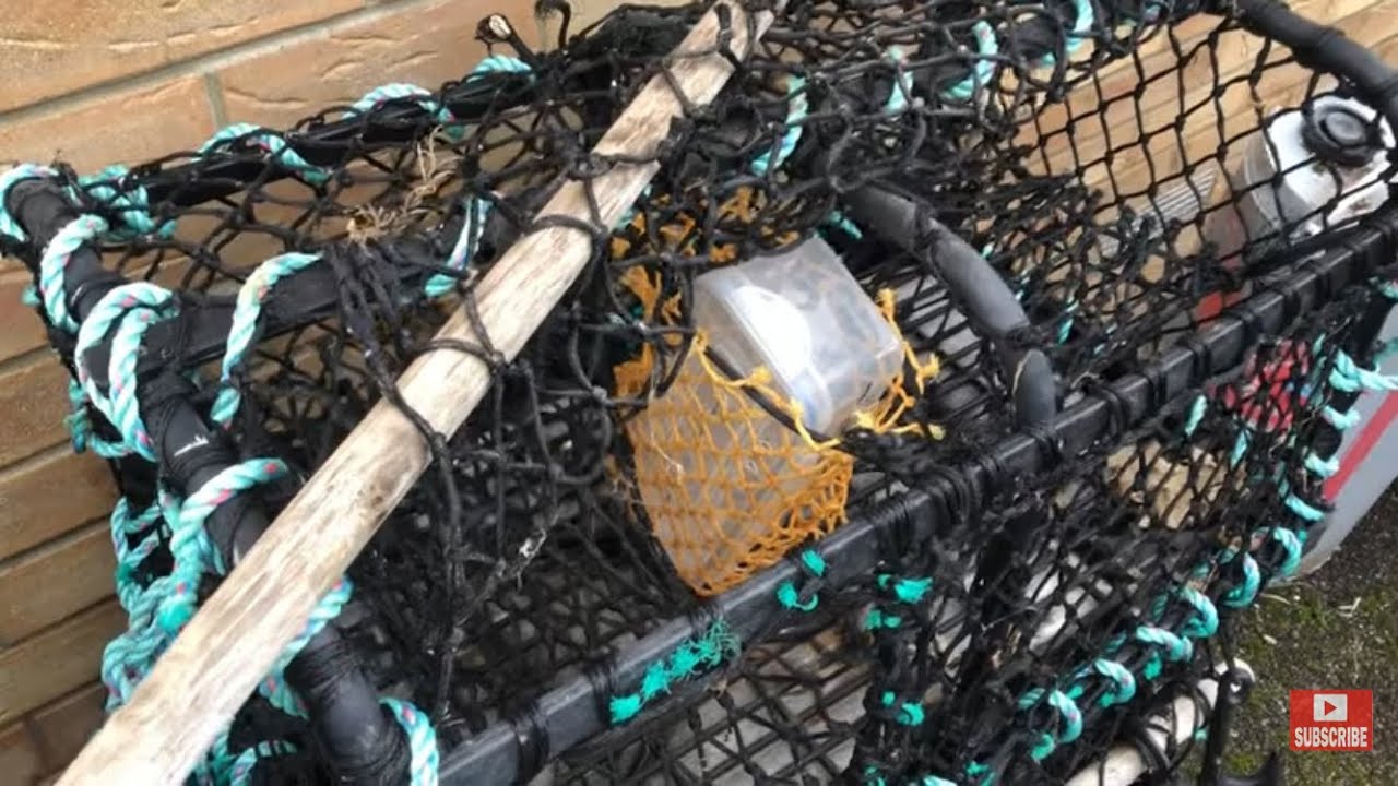 Cheap bait box for shrimp, prawn, crab & lobster pots. Keeps lice from ...