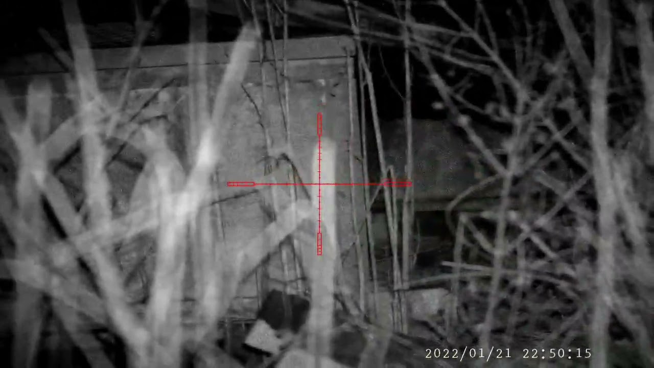 60+ rats - Rat hunting down the farm part 1 - YouTube