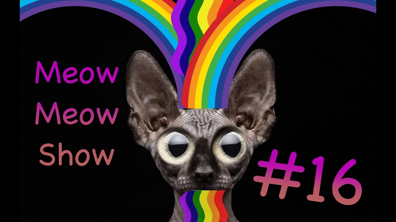 Meow Meow Show #16 - YouTube