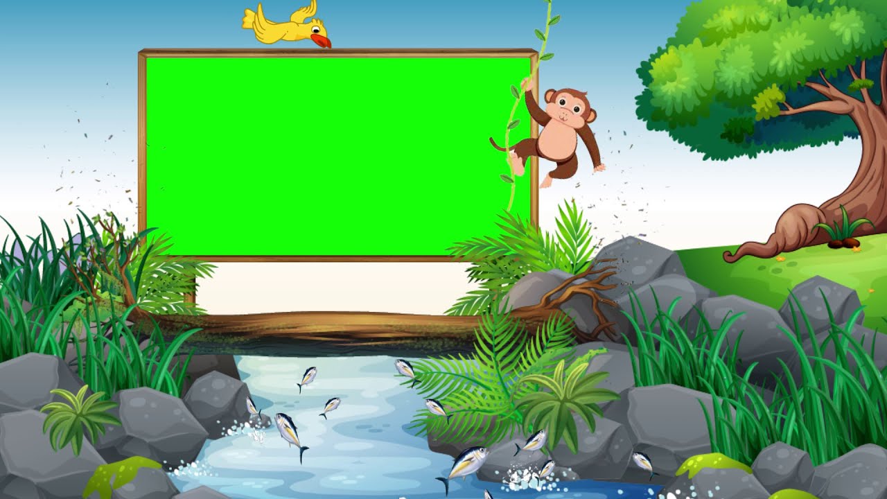 GREEN SCREEN BABY BOY OR BABY GIRL BIRTHDAY INVITATION VIDEO/HAPPY ...