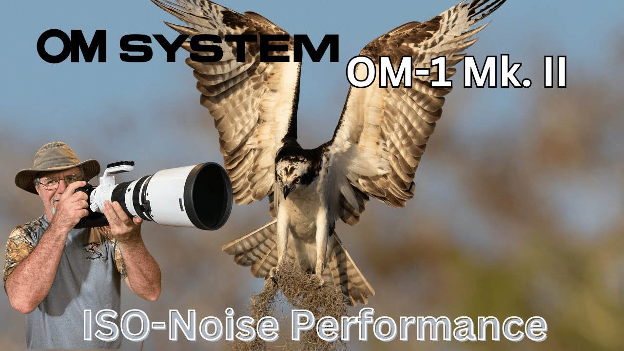 OM1 Mk. II ISO-Noise Performance with Canon R1 as a Reference Point ...