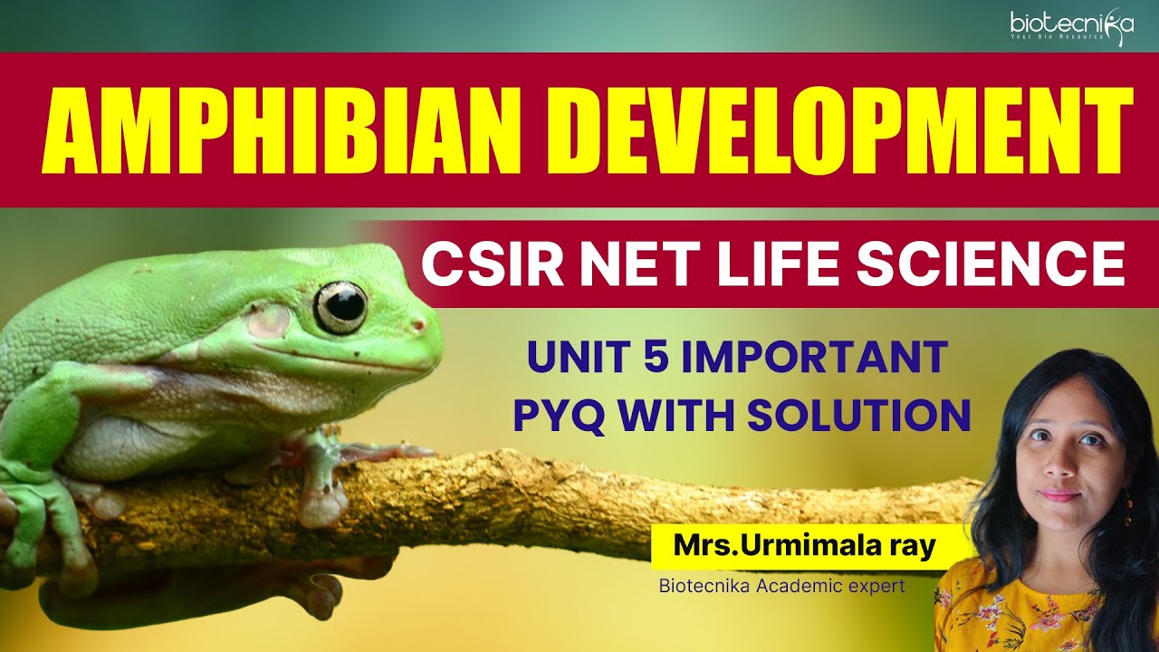 Amphibian Development - CSIR NET Life Science UNIT 5 Important PYQ ...