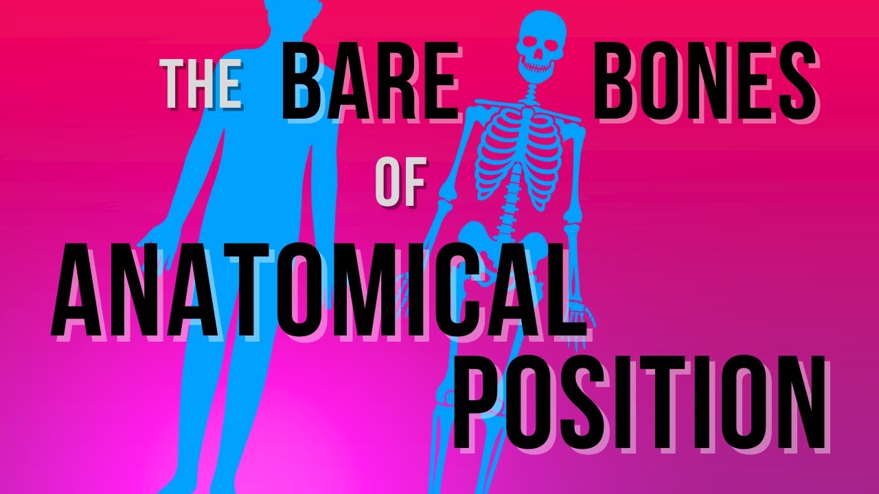 Anatomical position: The key to understanding medical terminology - YouTube
