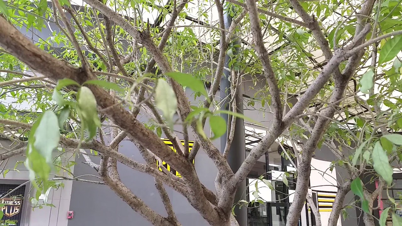 Video by Samsung Galaxy J8