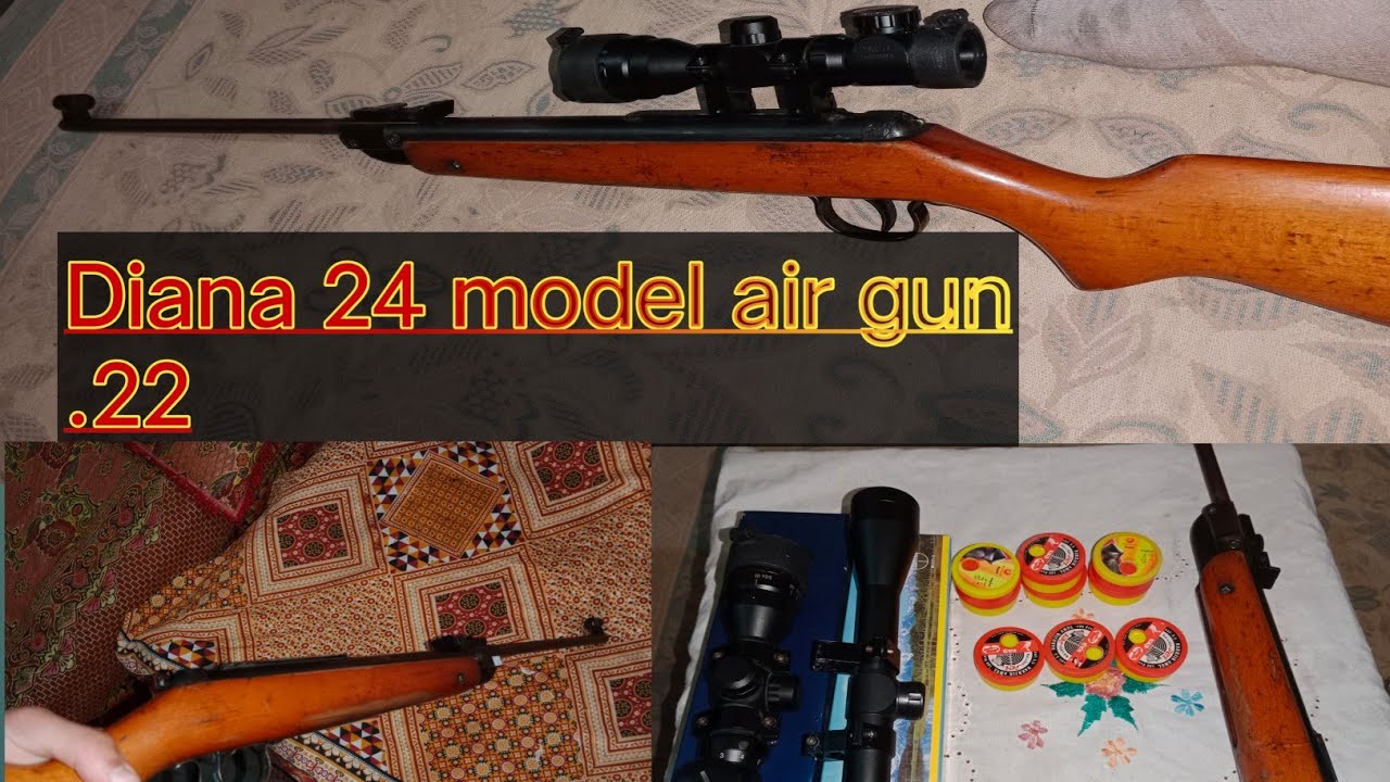 Hunting with Diana 24 model - YouTube