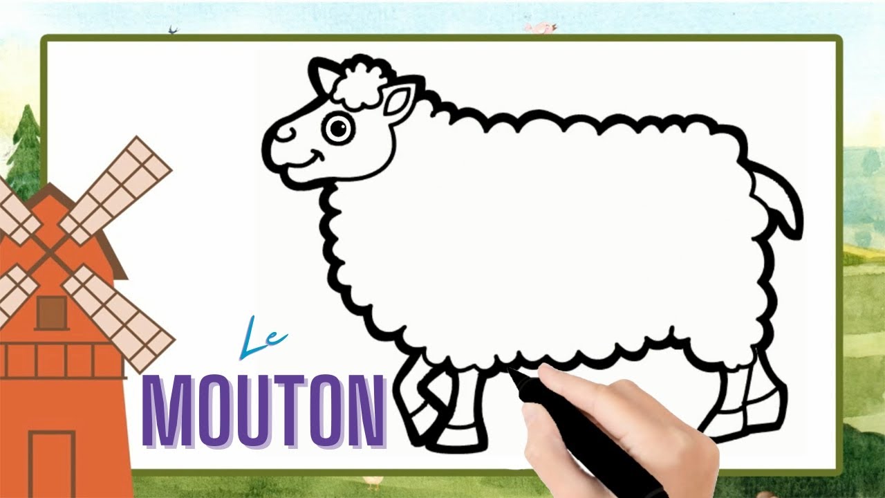 Comment dessiner un mouton facilement | Dessin mouton facile ...
