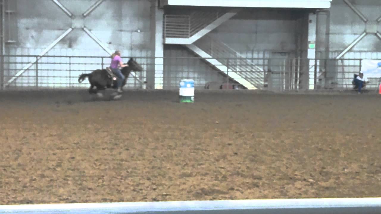 Emily Cruse running Lilly @ Castle Rock MHBHA 3/17 - YouTube