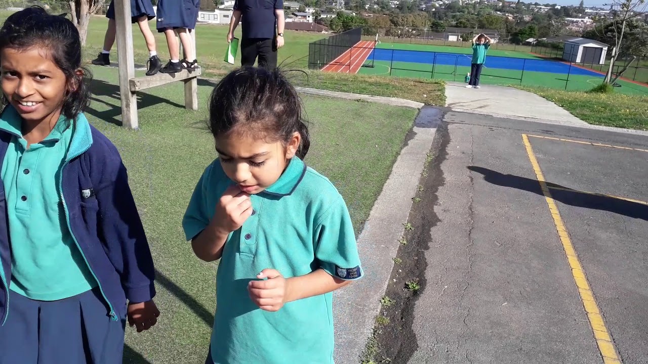 Halsey Drive primary school, Auckland. Nov 2018 - YouTube