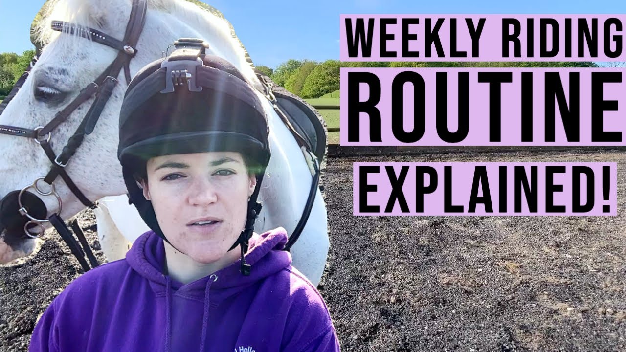 HOW TO CREATE A WEEKLY HORSE SCHEDULE (My 3-Day Weekly Equestrian ...