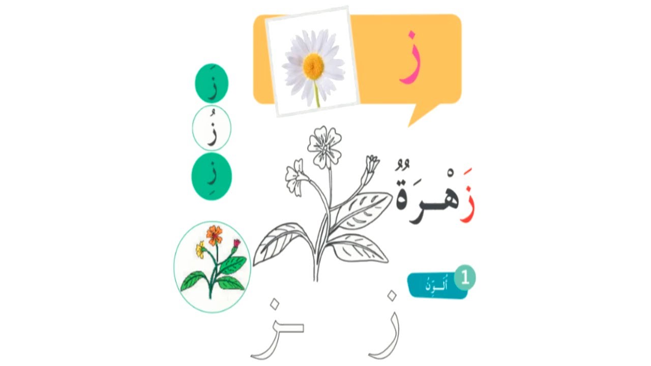 Learn Arabic Letter Zay ز, Arabic Alphabet for Kids, Arabic letters for ...
