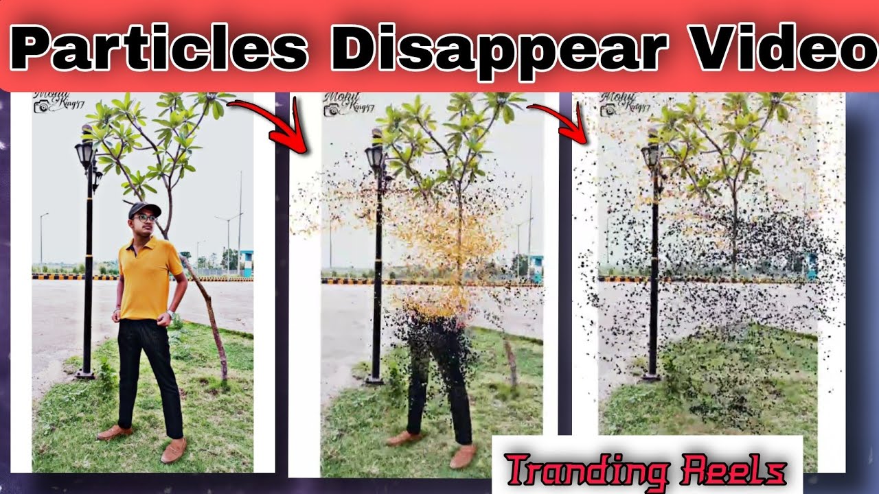 How To Make Particles Disappear Video || Style Not Working in Capcut ...