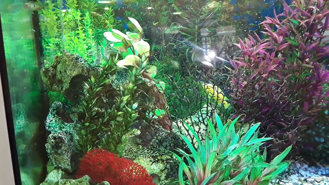 Isda 😂😍 - YouTube