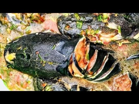 Poisson chat à la sauce tomate/ Recette de Cuisine/ Mbisi ya Ngolo ...